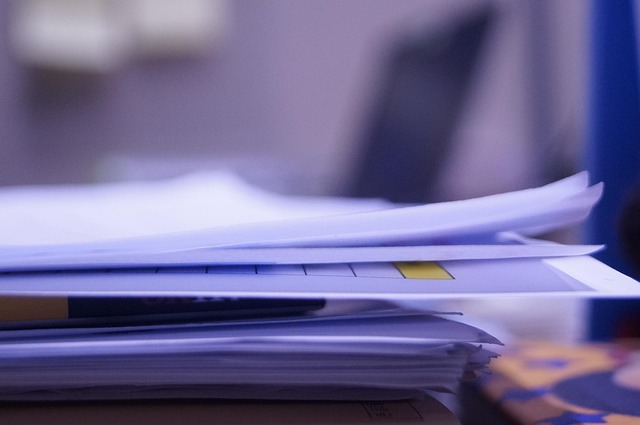 전세보증보험 2025년 HUG HF SGI 비교 가입